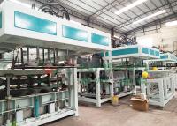 China Molded Fiber Shock-Proof Package Production Line Pulp Tray Machine for sale