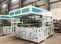 China Recycle Paper Pulp Industrial Tray Machine with High Capacity for sale