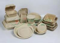 China Pulp Molding Tableware Production Line In Vietnam And India for sale