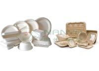 China Paper Pulp Lunch Box Oval Bowl Molding Machine with Auto Robot for sale