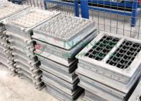 China Semi Automated Paper Egg Tray Egg Box Making Machinery for sale