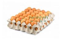 China Energy Saving Automatic Rotary Egg Tray Machine with Six Layer Drying Lines 6000pcs/h for sale