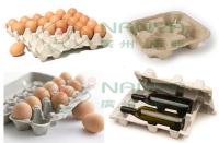 China Energy Saving Automatic Rotary Egg Tray Machine with Six Layer Drying Lines 6000pcs/h for sale