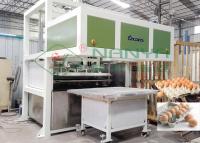 China 100kW EC1200-A Egg Tray Production Line | 1000-1200 pcs/hour Capacity | 1600×800mm Forming Machine for sale