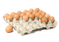 China 100kW EC1200-A Egg Tray Production Line | 1000-1200 pcs/hour Capacity | 1600×800mm Forming Machine for sale