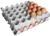 China 1800Pcs / H Moulded Pulp Egg Carton Machine Full Automatically for sale