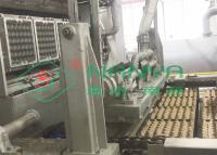 China Automatic 30 Holes Egg Tray Machine | Paper Pulp Molding Equipment 3000-6000 pcs/hour Capacity for sale