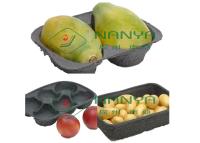 China Automatic 30 Holes Egg Tray Machine | Paper Pulp Molding Equipment 3000-6000 pcs/hour Capacity for sale
