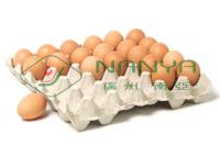 China Big Capacity Rotary Pulp Fruit Tray / Egg Tray Forming Machine With Multi Layer Dryer for sale