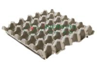 China Semi Automatic Pulp Tray Machine ES3000-A 3000pcs/h Capacity 155kw Power for Egg and Fruit Packaging for sale