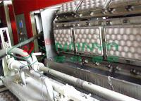 China 250kw Fruit Trays Eggs Tray Making Machine Vacuum Suction 600m2 for sale