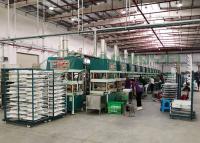 China Waste Paper Electronic Packaging Pulp Tray Machine for sale