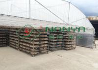China High Capacity Pulp Tray Machine , Egg Tray Pulp Molding Production Line 3000 Pcs / H for sale