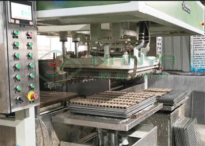 China 80kg/h Pulp Tray Machine for TV Packaging | 800×600mm Mould Plate | Waste Paper Recycling Equipment for sale