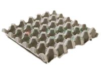 China Paper Pulp 600 m2 Corrugated Egg Carton Machine for sale