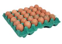 China 700Pcs / H Egg Carton Machine Reciprocating Forming Type 3-4 Persons for sale