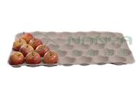 China 1000Pcs / H Fully Automatic Egg Carton Machine With Recycled Paper for sale