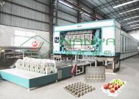 China PLC 70mm 30 Holes Egg Tray Pulp Molding Equipment for sale