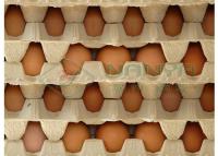 China Auto Recycled Paper Egg Tray Machine 6 Layers Drying Line 3000 To 6000 Pcs/ H for sale