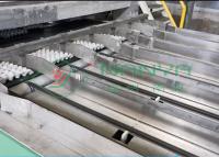 China Pulp Molded 600m2 Paper Egg Tray Manufacturing Machine for sale