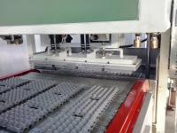 China Automatic Reciprocating Molded Paper Fruit Tray  / Egg Tray Production Line /1000Pcs/H for sale