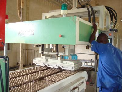 China Fully Automatical Energy Saving Egg Carton Forming Machine 600 Pcs / H for sale