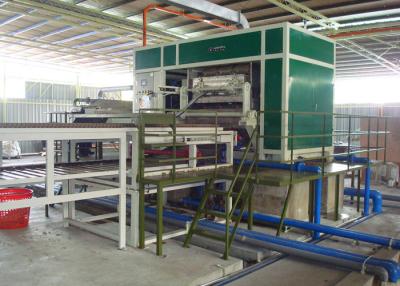 China Automatic Pulp Moulding Egg Tray Machine with 6 Layer Drying Lines 3000pcs Per Hour for sale