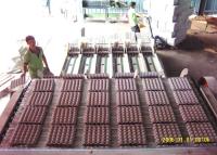 China Waste Paper Egg Tray / Egg Carton / Fruit Tray Production line 6000Pcs / Hour for sale