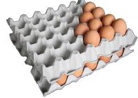 China Biodegradable 30-Cavity Pulp Molded Egg Tray | 5x6 Configuration | Eco-Friendly Paper Packaging for sale