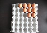 China Biodegradable 30-Cavity Pulp Molded Egg Tray | 5x6 Configuration | Eco-Friendly Paper Packaging for sale