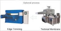 China Fully Automatic Thermoforming Pulp Molding Equipment 30-300kg/h Capacity for High-Grade Packaging Products for sale