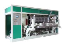 China CZ060 Rotary Pulp Molding Machine for 30-Cavity Egg Trays - 6000pcs/h Capacity with 2400×470mm Mould Plate for sale