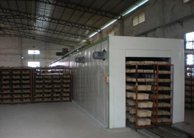China Tunnel Type Paper Pulp Molding Drying Machine 20-60m Length 2-4m Width 220V-440V Industrial Production Line for sale