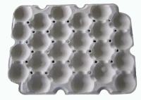 China Custom Rectangular Paper Pulp Molded Fruit Tray - 30 Day Production, Eco-Friendly Packaging Solution for sale