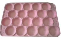 China Degradable Rectangular Paper Pulp Fruit Tray with 20 Cavities 4×5 Configuration for Sustainable Packaging for sale