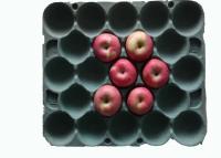 China Degradable Rectangular Paper Pulp Fruit Tray with 20 Cavities 4×5 Configuration for Sustainable Packaging for sale