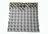 China 90-Cavity Quail Egg Carton Pulp Molding Machine | White Paper Molded Egg Tray Production Equipment for sale