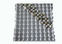 China 90-Cavity Quail Egg Carton Pulp Molding Machine | White Paper Molded Egg Tray Production Equipment for sale