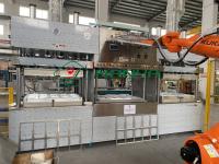 China Full Automatic Paper Pulp Plate Making Machine 180-250kg/h Capacity for Biodegradable Food Containers for sale