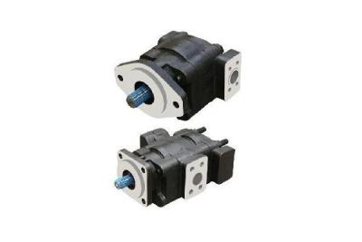 China P315 P330 P350 P365 M315 M330 M350 M365 hydraulic gear pump and Motor for sale