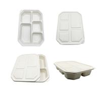 China PLA Sheet For Thermoforming Compartment Polylactic Acid Sheet Food Container PLA Plastic Film Lunch Box for sale