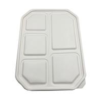 China PLA Sheet For Thermoforming Compartment Polylactic Acid Sheet Food Container PLA Plastic Film Lunch Box for sale