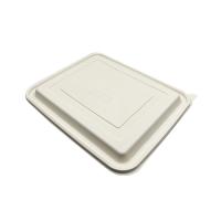 China PLA Sheet For Thermoforming Compartment Polylactic Acid Sheet Food Container PLA Plastic Film Lunch Box for sale