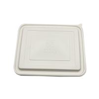 China PLA Sheet For Thermoforming Compartment Polylactic Acid Sheet Food Container PLA Plastic Film Lunch Box for sale