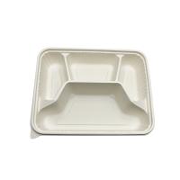 China Disposable PLA Sheet For Thermoforming Four Compartment Plates Bagasse Dishes for sale