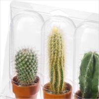 China 100% Virgin Pet Sheet Film 0.5 Mm Transparent Plastic For Packaging Tray for sale