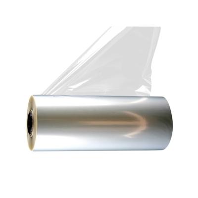 China Clear APET Plastic Sheet Clamshell Fruit Use Disposable Containers for sale
