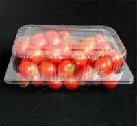 China Clear APET Plastic Sheet Clamshell Fruit Use Disposable Containers for sale