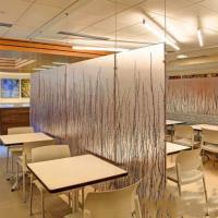 China Clear PETG Sheet Decorative Panels Colored 0.5 mm 2050MM-3050MM for sale