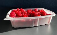 China High Transparency Food grade PETG sheet for covering food fruit tray for sale